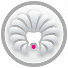 Stomx управляй клиникой просто программа для стоматологических